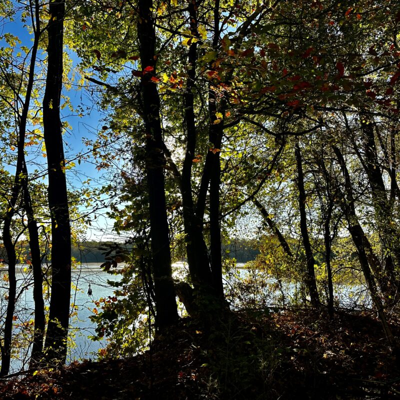 Last Membership Share at Wolf River 3 Lakes in Memphis, TN - Flooded ...