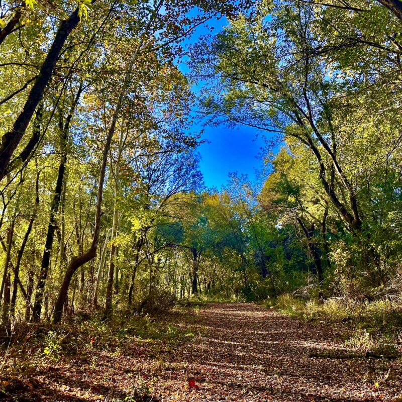Hunting Club Membership at Wolf River 3 Lakes in Memphis, TN. Hunt ...