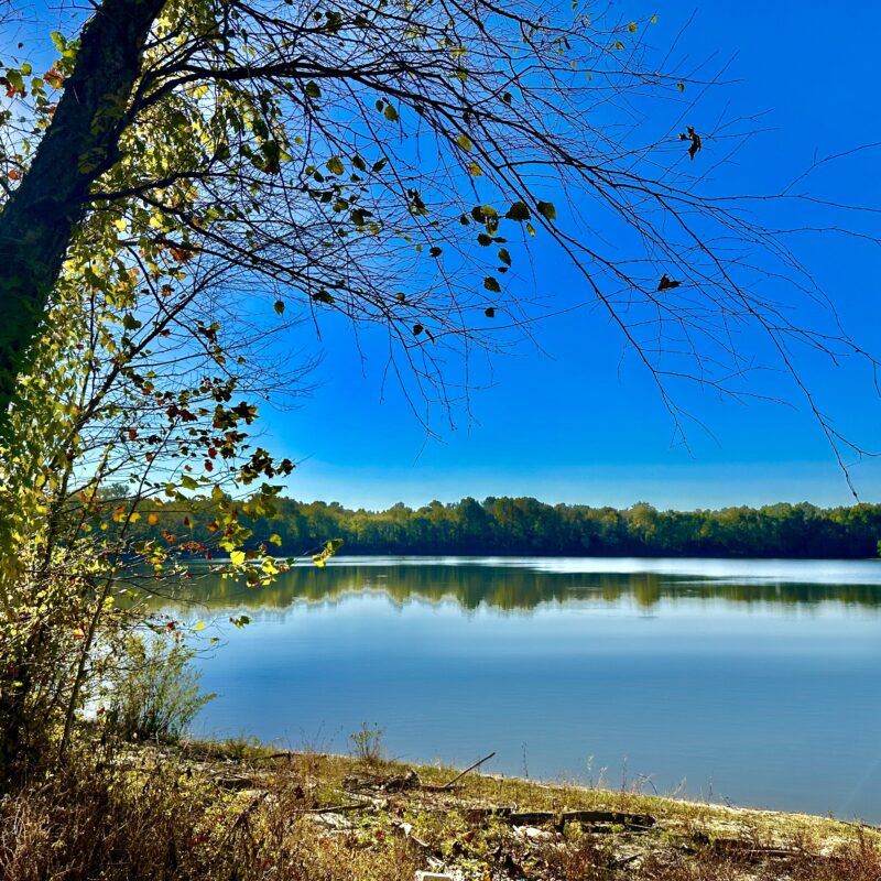 Membership Share at Wolf River 3 Lakes in Memphis, TN - Flooded Green ...