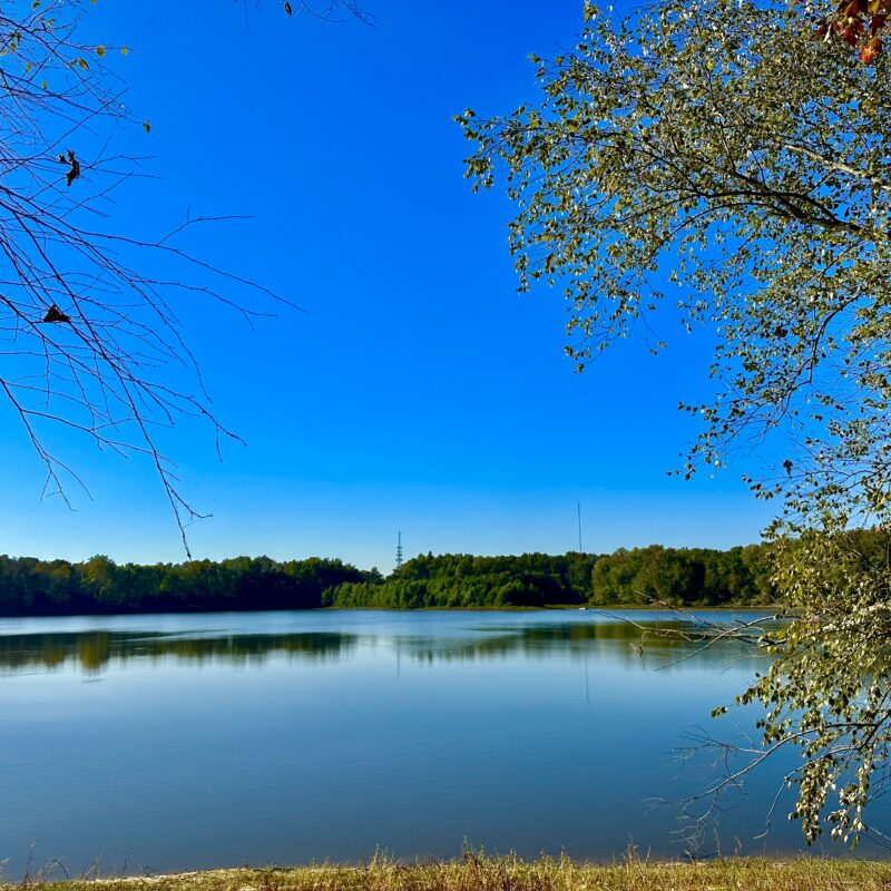 Hunting Club Membership at Wolf River 3 Lakes in Memphis, TN. Hunt ...