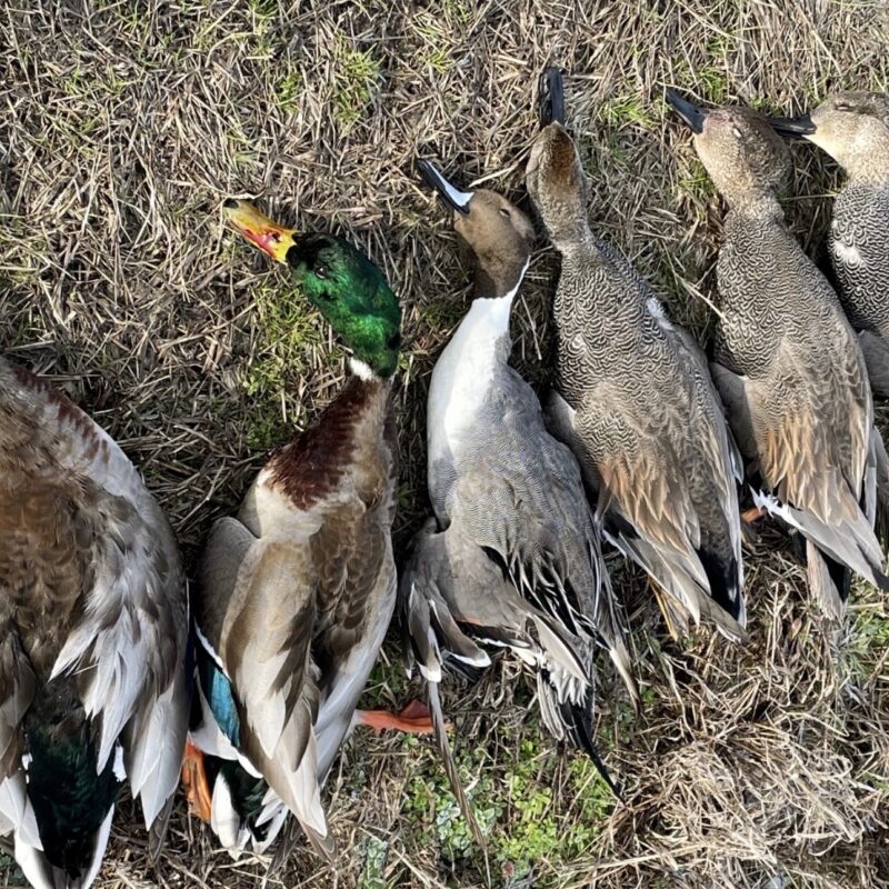 Hunting Club Membership at Wolf River 3 Lakes in Memphis, TN. Hunt ...