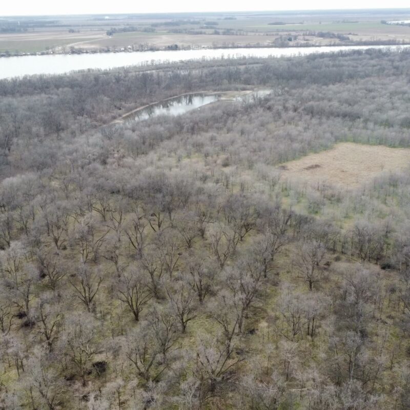 Own Your Own Private Island - Alcorn Island - 585 +/- Acres at Moon ...