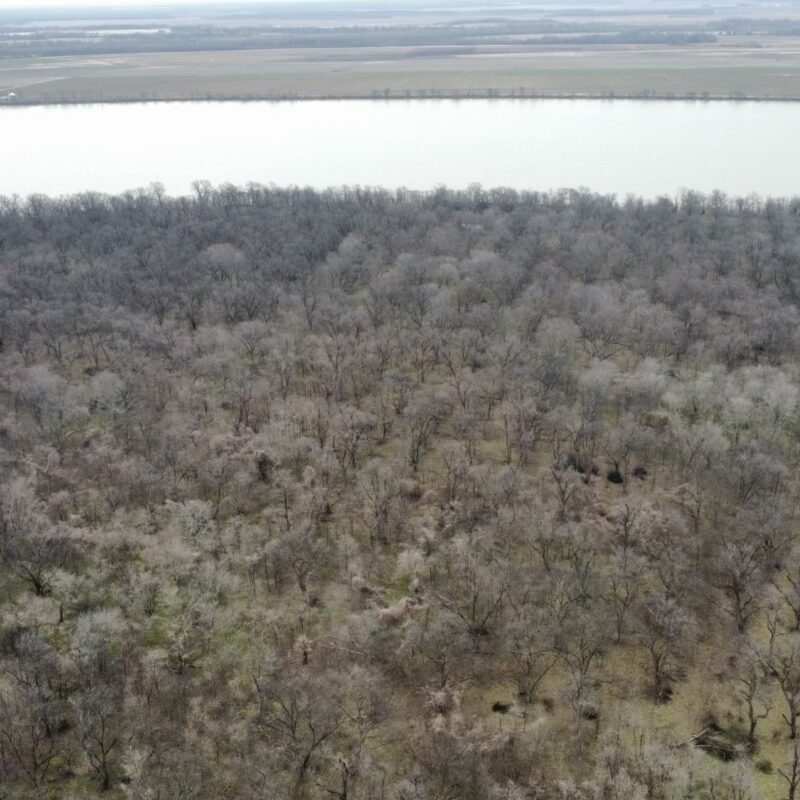 Own Your Own Private Island - Alcorn Island - 585 +/- Acres at Moon ...