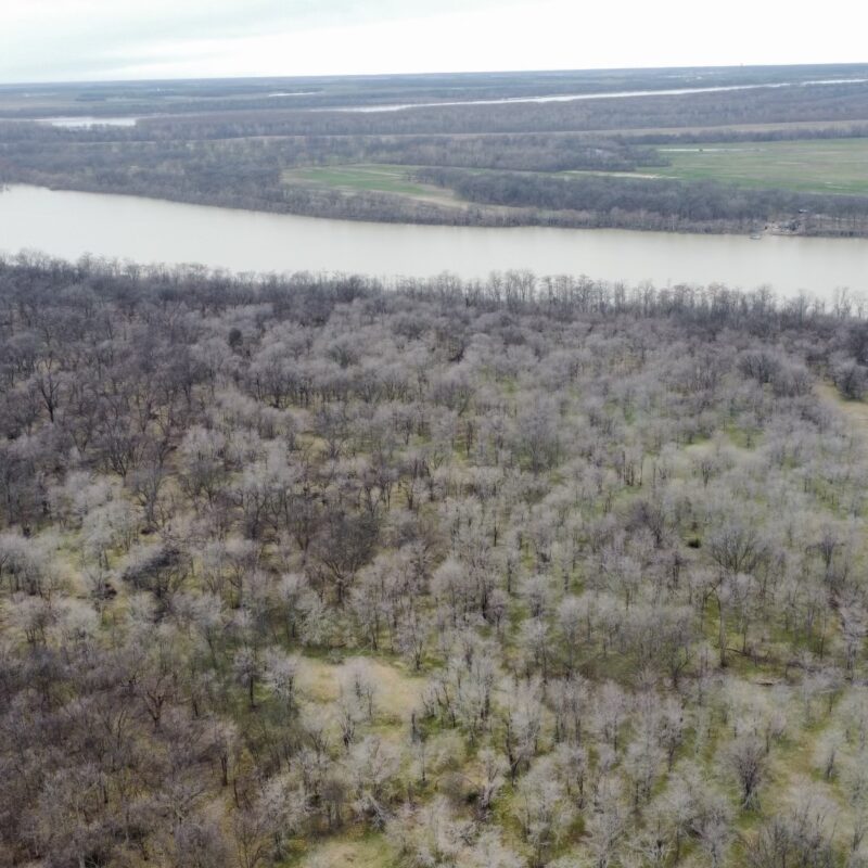 Own Your Own Private Island - Alcorn Island - 585 +/- Acres at Moon ...