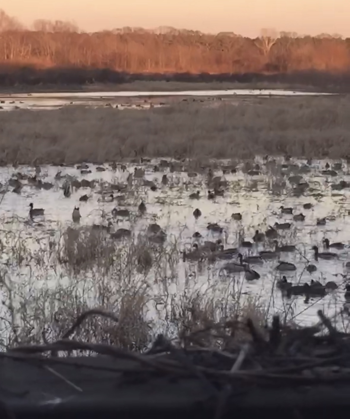 Beartail Farms - Famous Duck Hunting Property with 12 Bedroom Lodge in ...